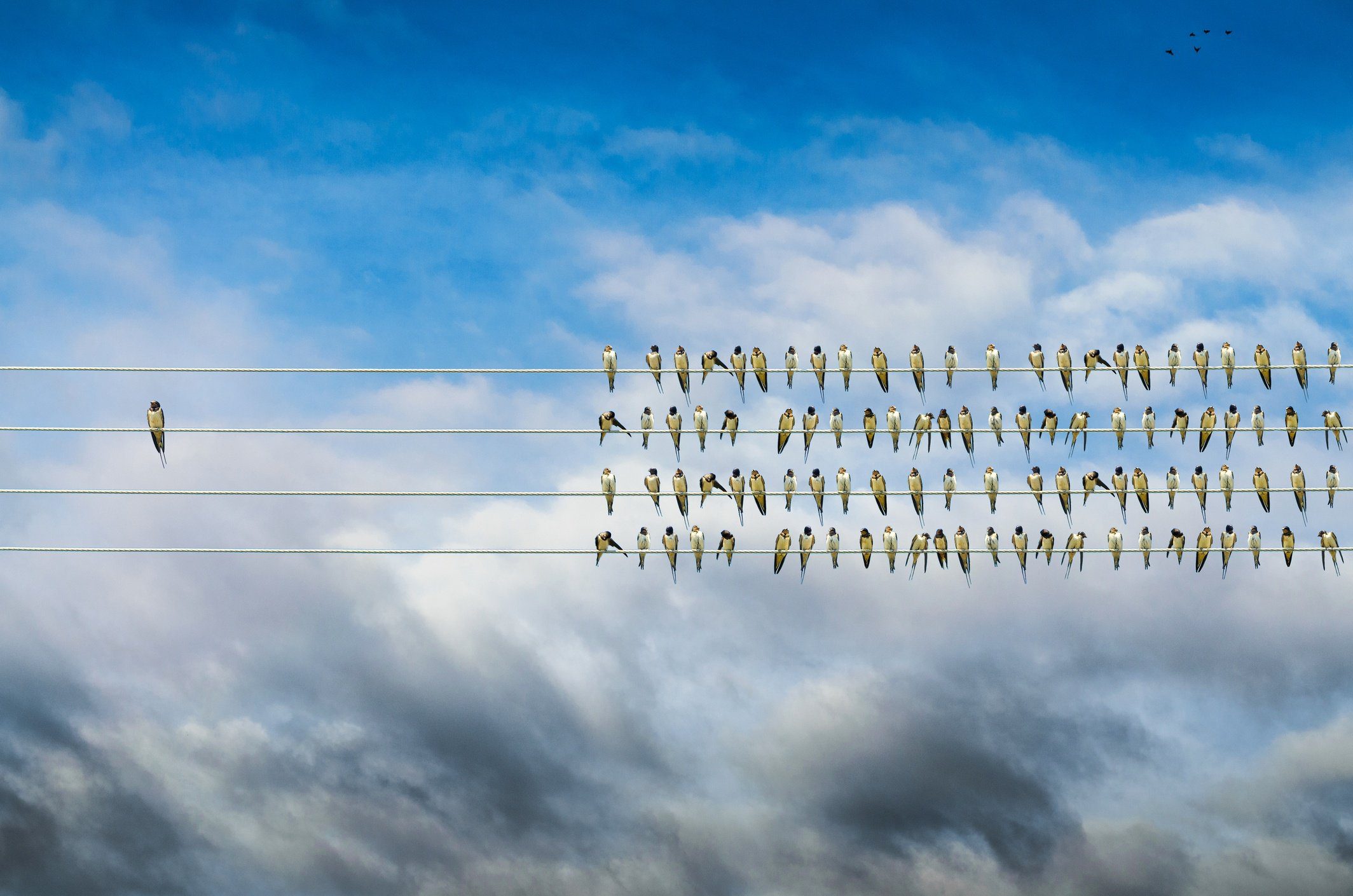 Which 4 Sales Competencies Best Differentiate Top from Bottom ...